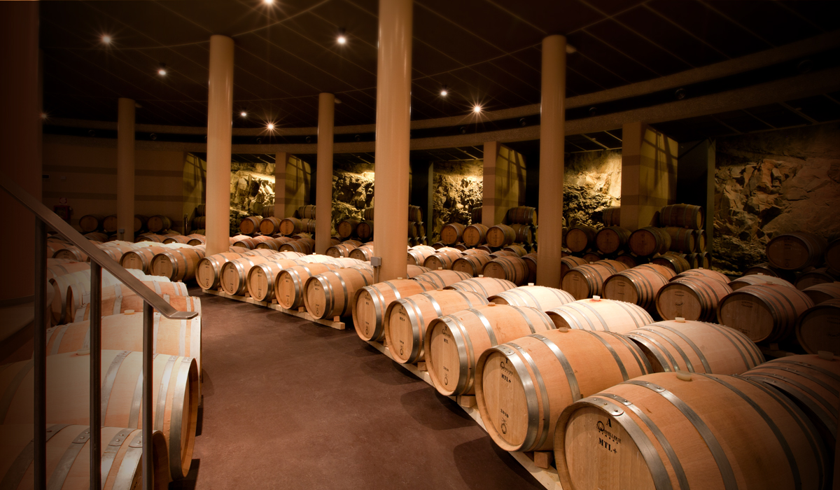 Scarlino promises a taste of “La Dolce Vita” | Sailogy